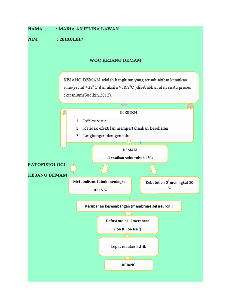 Woc Kejang Demam Anak | PDF