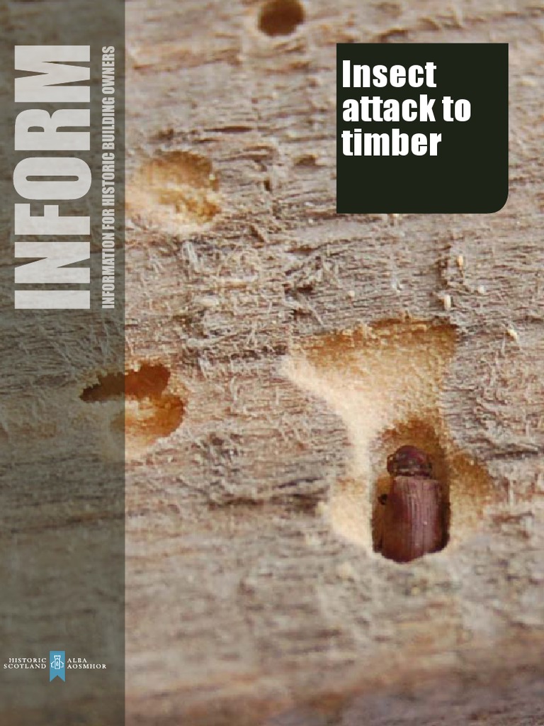 Timber Pest Control Guide | PDF | Lumber | Beetle