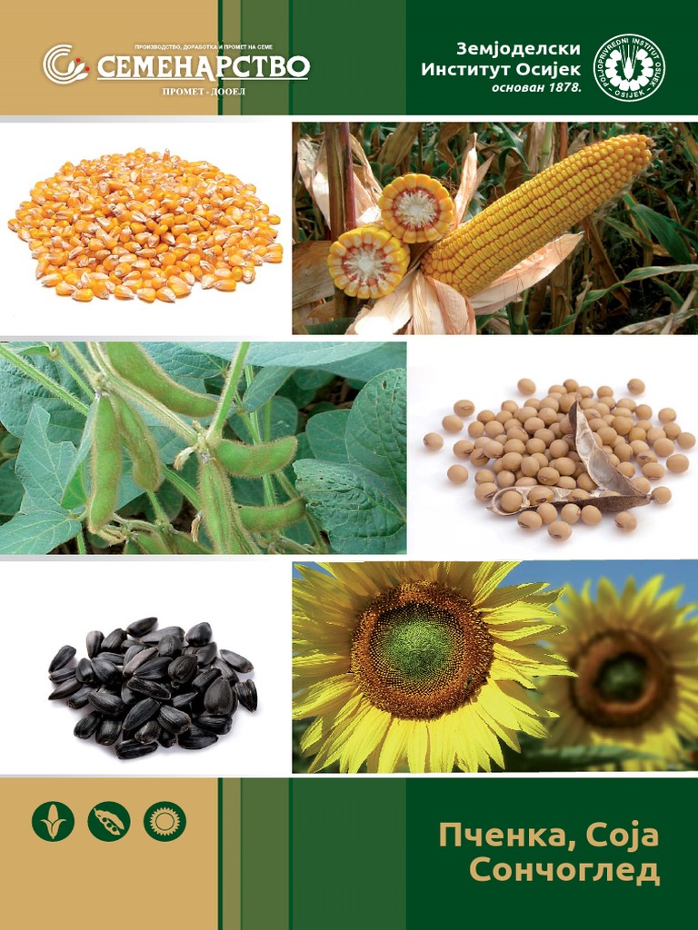 Soncogled Soja Pcenka | PDF