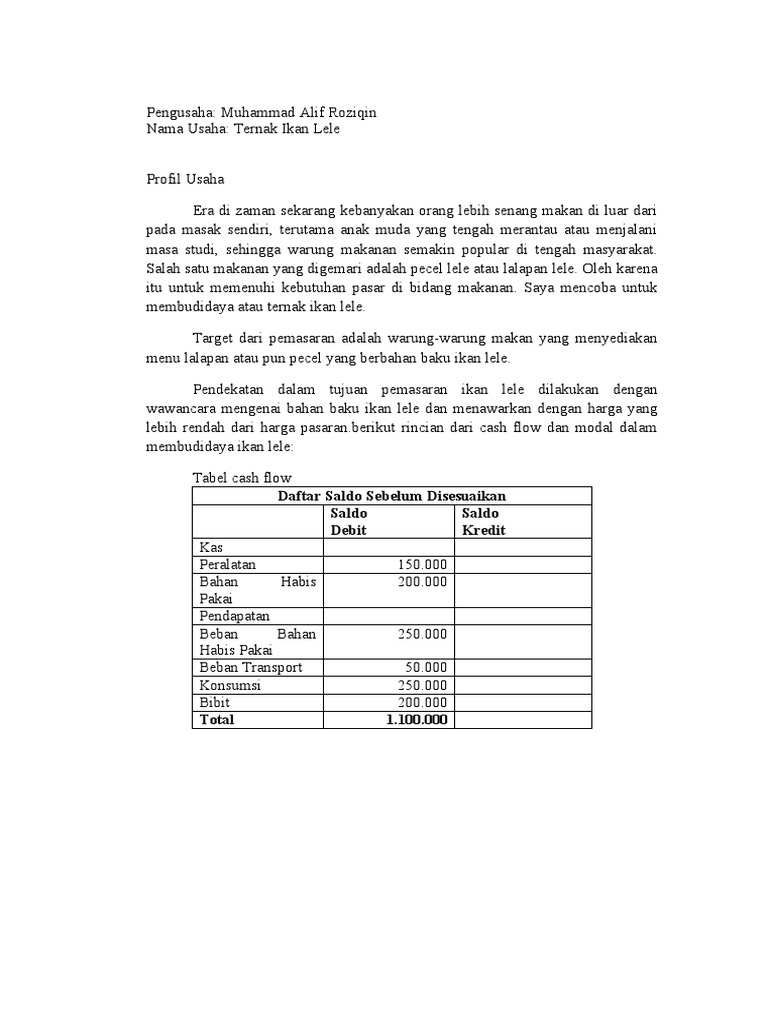 Profil Usaha Lele | PDF