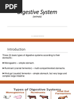 Understanding Pseudo-Ruminant Animals | PDF | Ruminant | Digestion