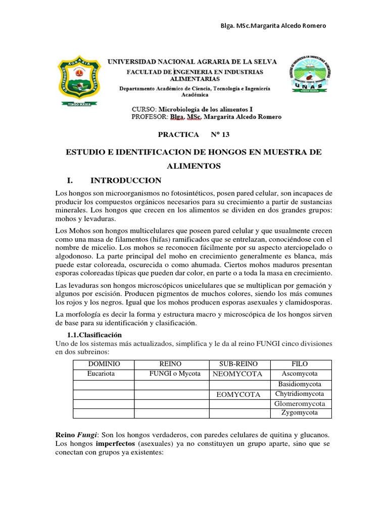 Practica 13 Micro I - Hongos PDF | PDF | Hongo | Eucariotas