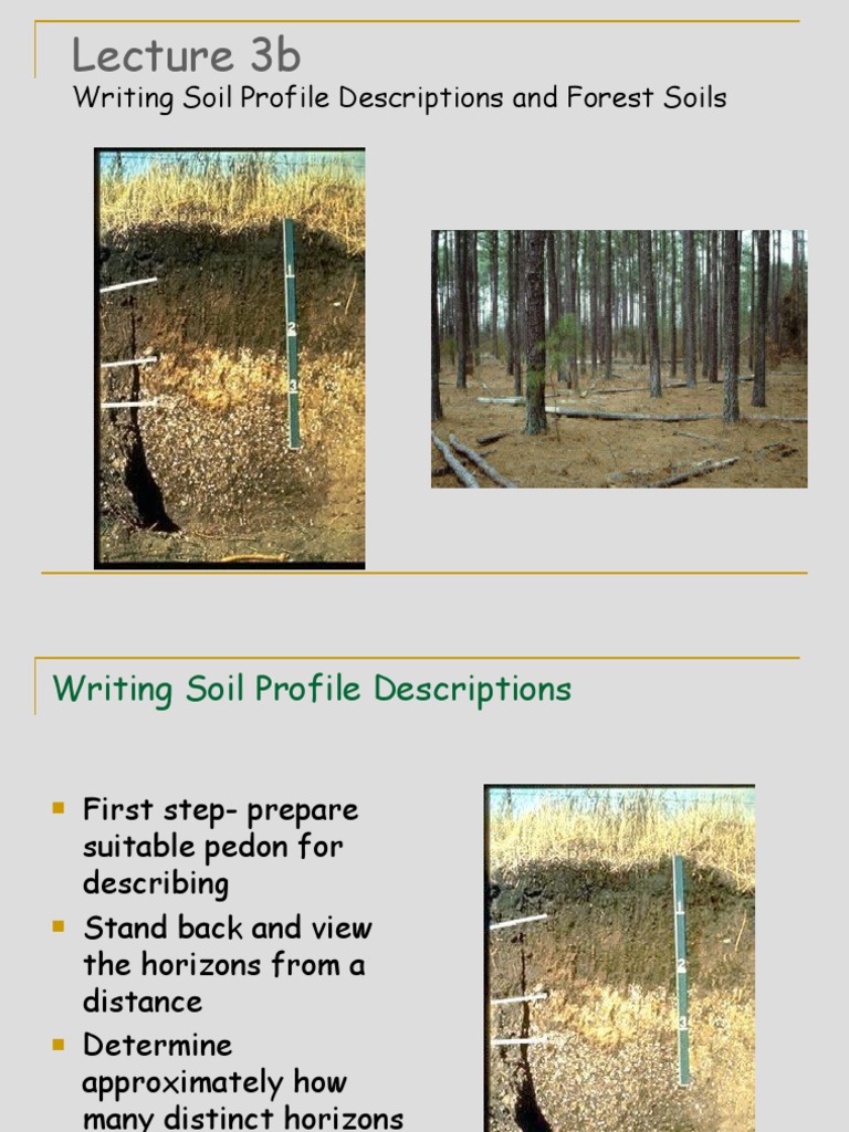 L03b-Writing Soil Profile Descriptions & Forest Soils | PDF | Soil | Forests