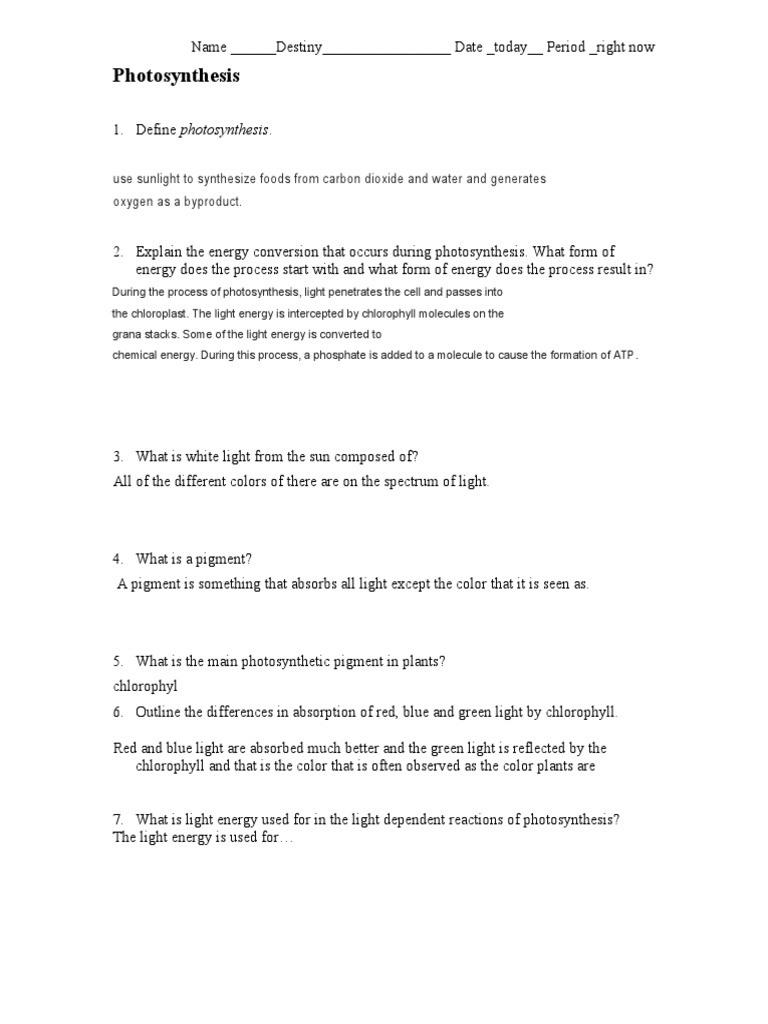 Photosynthesis Study Guide | PDF | Photosynthesis | Plant Physiology
