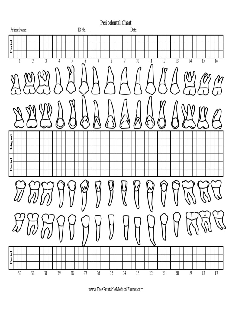 Periodontal Chart PDF | PDF