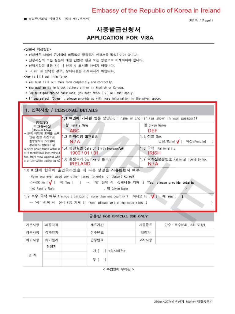 Visa Application SAMPLE (Ireland) | PDF