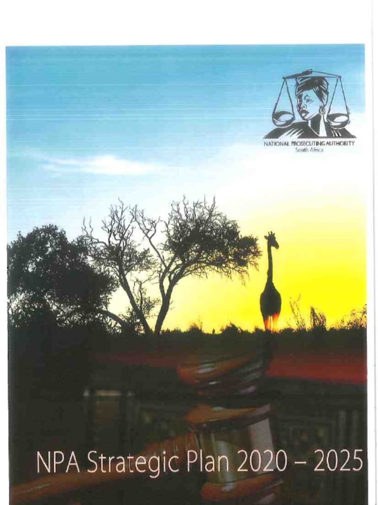 NPA Strategy Plan 2020 - 2025 | PDF