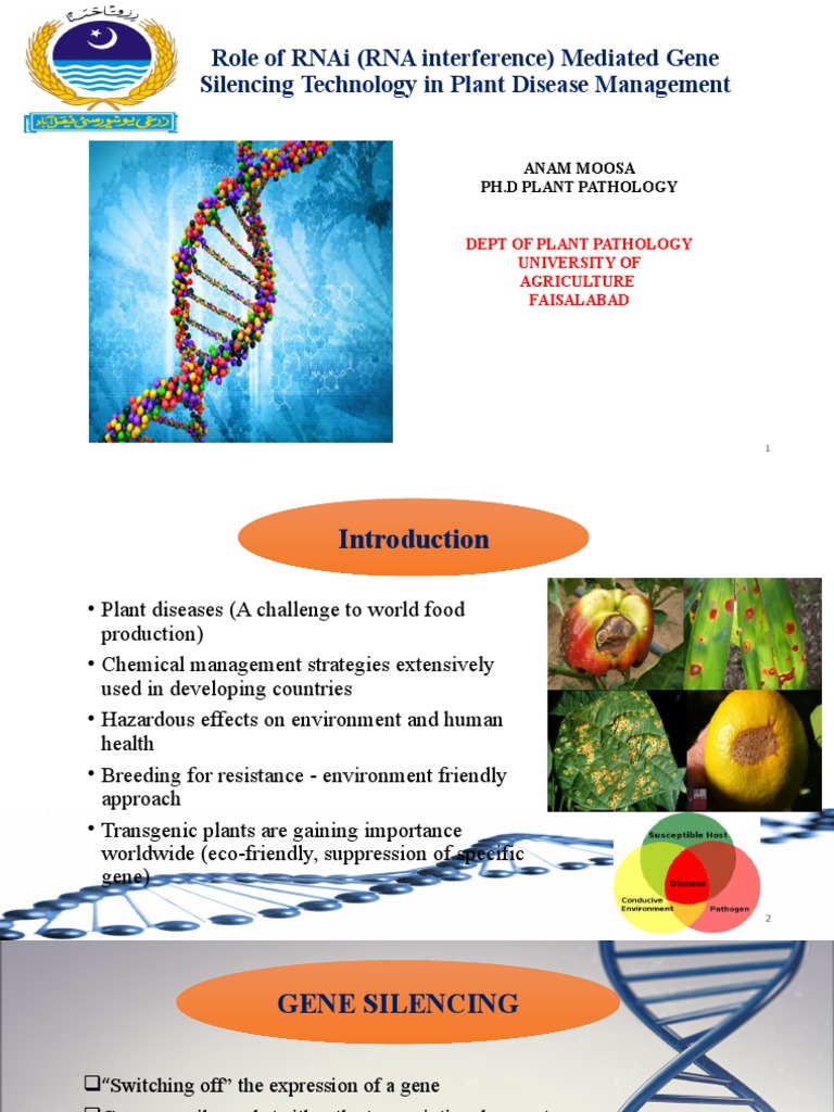 Role of Rnai (Rna Interference) Mediated Gene Silencing Technology in ...