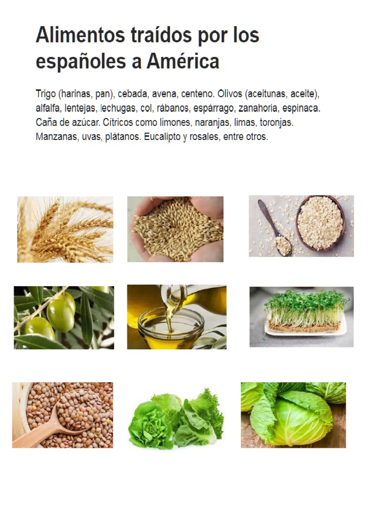 Alimentos Traido de America y de America A Europa | PDF