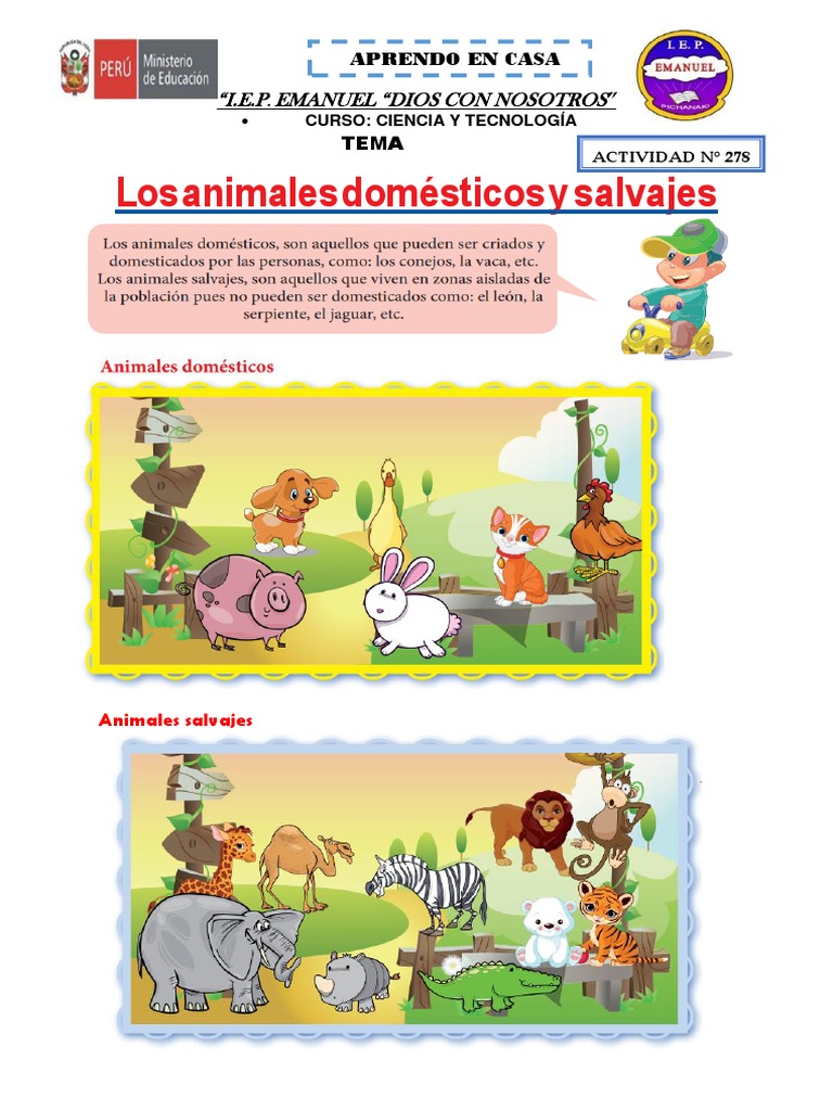 ACTIVIDAD #278 Los-Animales-Domésticos-y-Salvajes | PDF