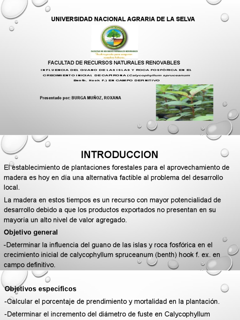 CAPIRONA | PDF | Fertilizante | Suelo