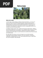 Relieve de La Selva Peruana | PDF | Perú | Andes