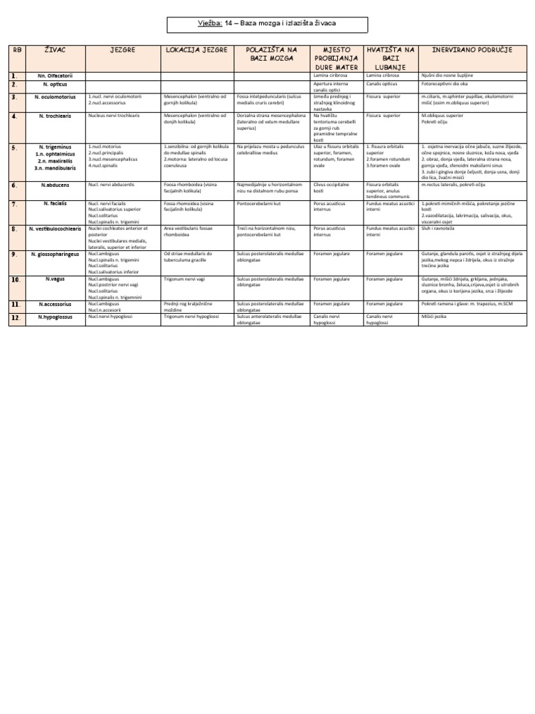 Tablica kranijalnih živaca (pregled).docx | PDF