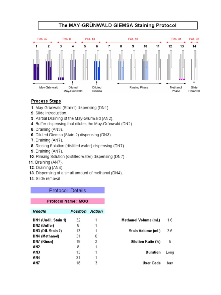 The MAY-GRÜNWALD GIEMSA Staining Protocol: Process Steps | PDF