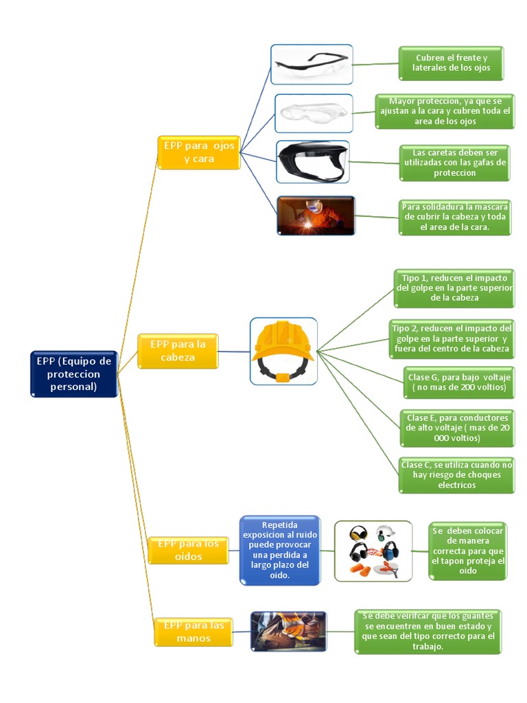 Mapa Conceptual EPP | PDF | Bota | Naturaleza
