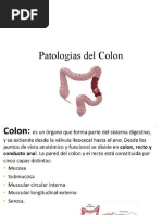 Anatomía y Fisiología Anorrectal | PDF | Recto | Sistema digestivo