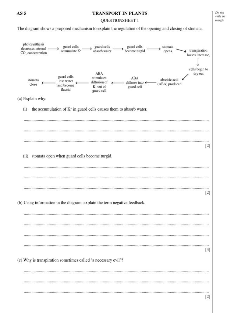 Plant Questions | PDF | Stoma | Leaf
