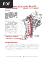 Arterias Faríngea y Occipital | PDF | Artería | Sistema cardiovascular