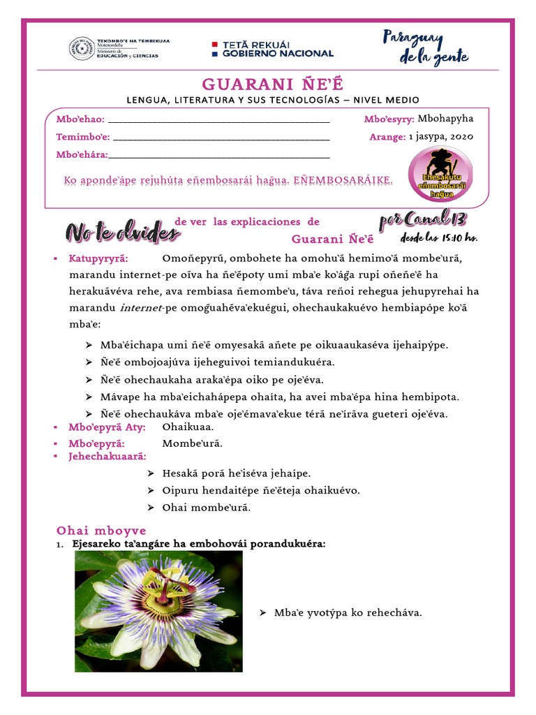 Guarani-3ro Cap-18 01-10 e | PDF