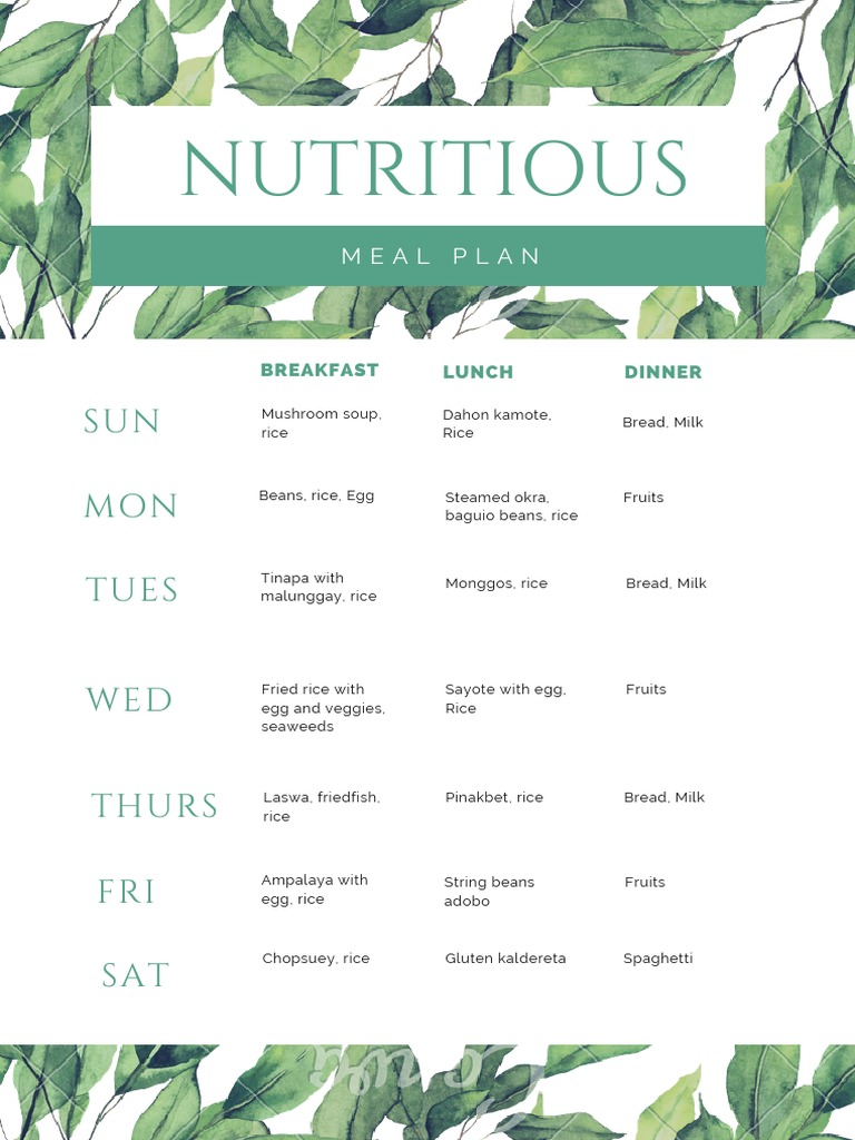 Nutritious Meal Plan Overview | PDF