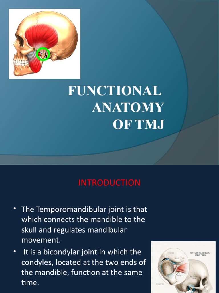 Functional Anatomy of TMJ | PDF | Human Head And Neck | Human Anatomy