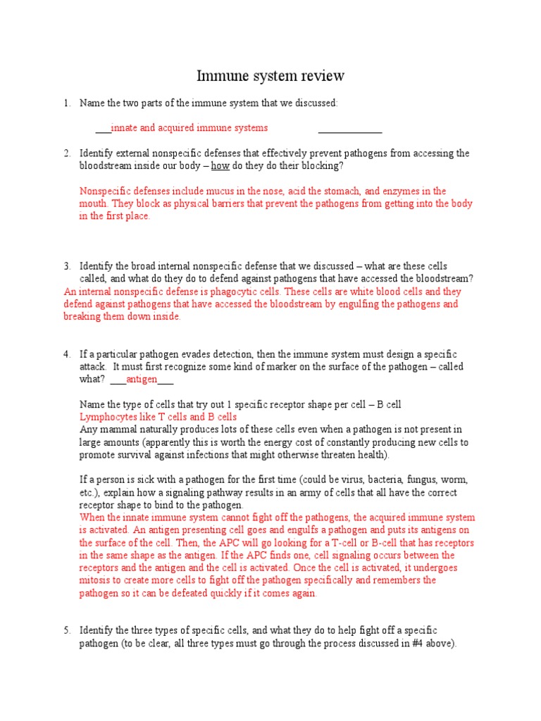 Immune System Review Questions | PDF | B Cell | Immune System