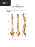 Tabel Ringkasan Origo, Insersio, Inervasi Dan Aksi Otot Manusia - Dr. S ...