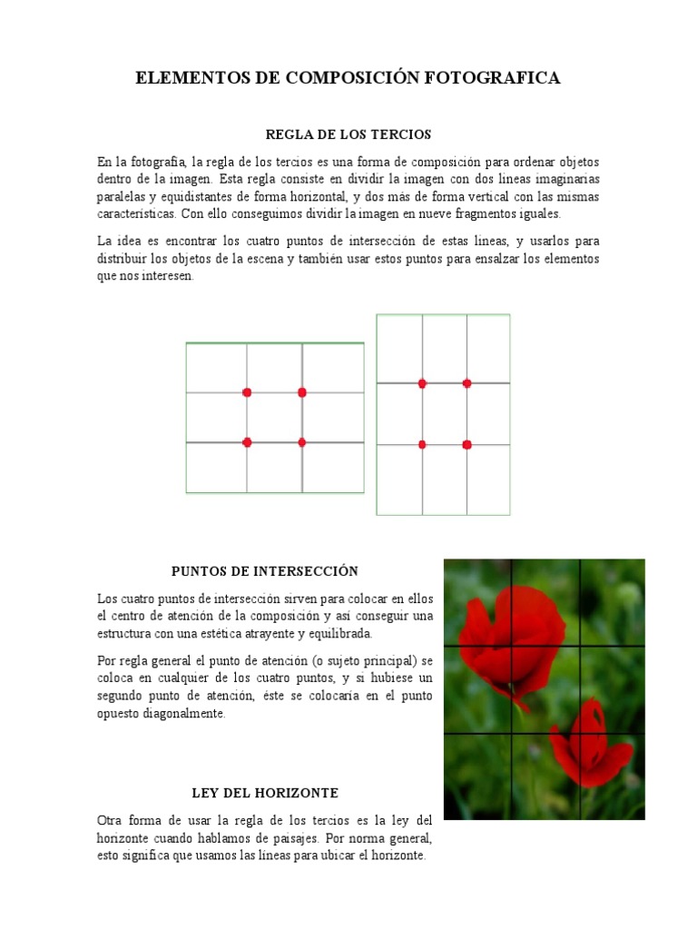 Regla De Los Tercios Sujeto En Movimiento Qué Es Y Cómo Aplicar La