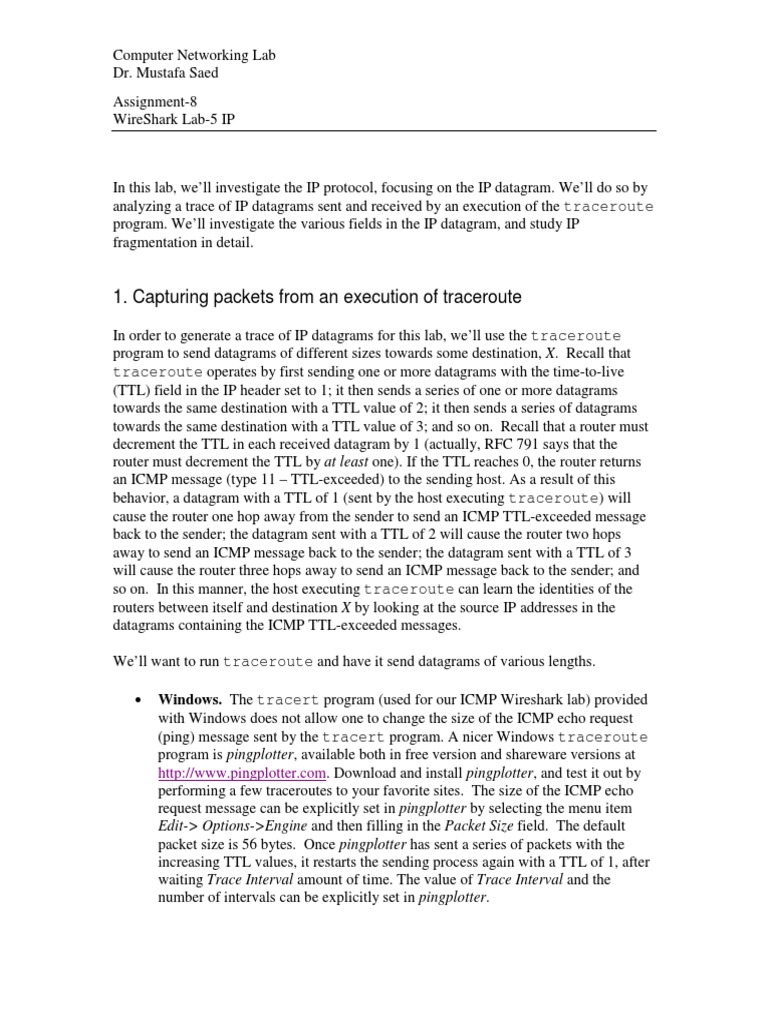 Assignment 8 - Wireshark Lab 5 - IP | PDF | Internet Protocols | Computer Networking