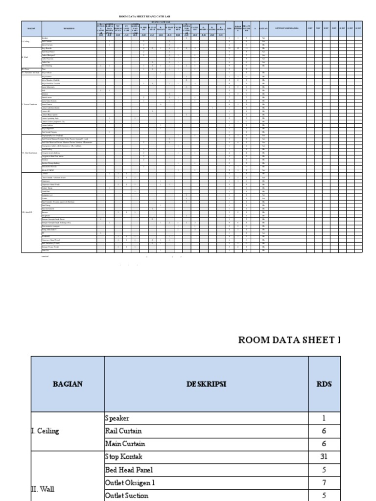 Permintaan Cath Lab (Room Data Sheet) | PDF