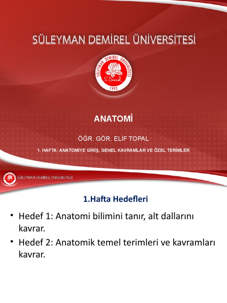Anatomi̇ 1. Hafta Sunu | PDF