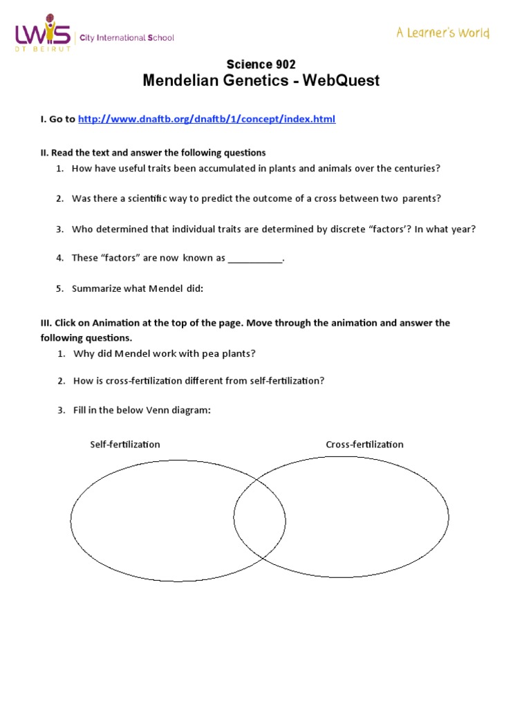 Mendelian Genetics WebQuest | PDF | Social Science