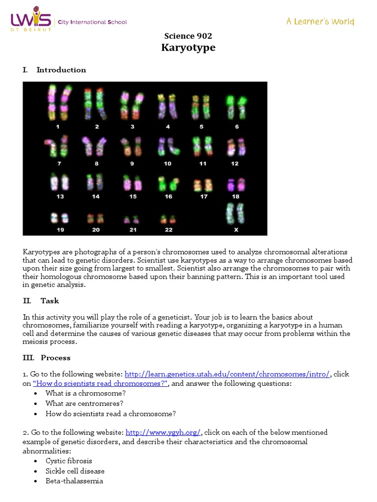 7 +Karyotype+Webquest | PDF | Social Science