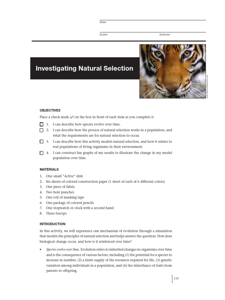 Investigating Natural Selection Lab Activity | PDF | Natural Selection ...