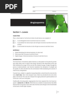 Plant Cell Study Guide | PDF | Cell (Biology) | Plants