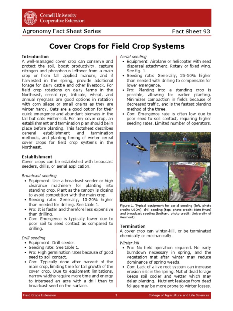 Cover Crops For Field Crop Systems: Fact Sheet 93 Agronomy Fact Sheet ...