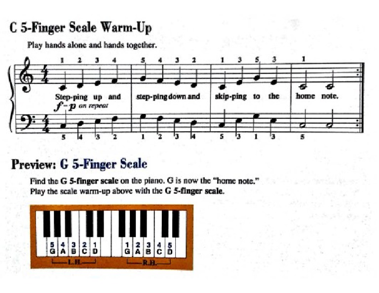 C5 Finger Scale | PDF