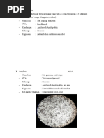 Pengelolaan Obat LASA/NORUM | PDF