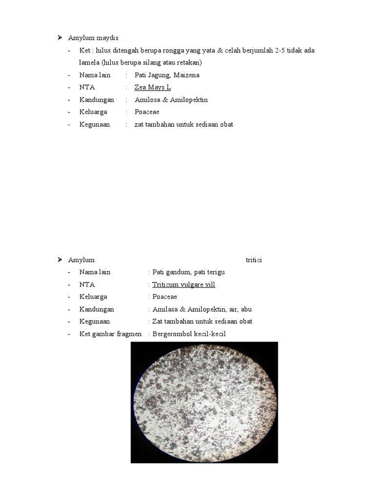 Jenis-jenis Amylum dan Kegunaannya | PDF