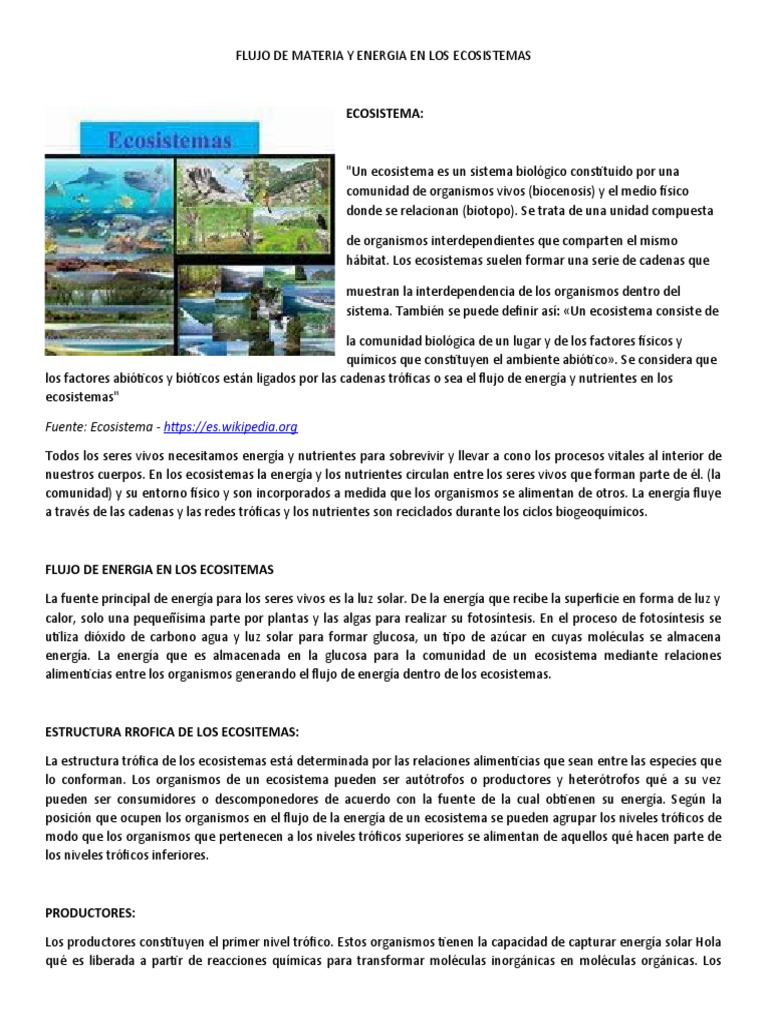 Flujo de Energia y Materia en Los Ecosistemas | PDF | Biomasa (Ecología ...