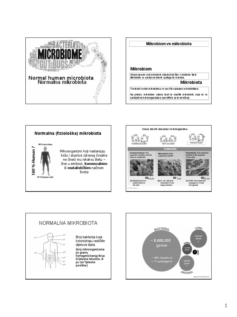 Normal Human Microbiota Normalna Mikrobiota: Mikrobiom | PDF