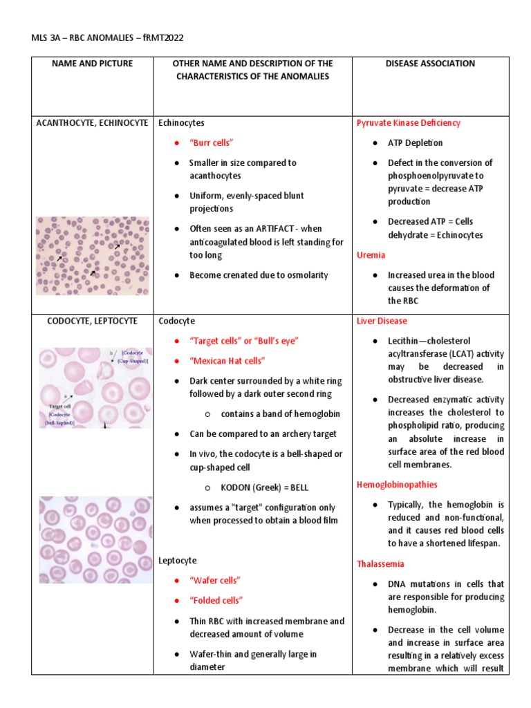 RBC Anomalies | PDF | Anemia | Red Blood Cell