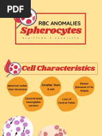 Codocytes & Leptocytes: Denzo, Irish Jean E. Sarabia, Wencimar F | PDF