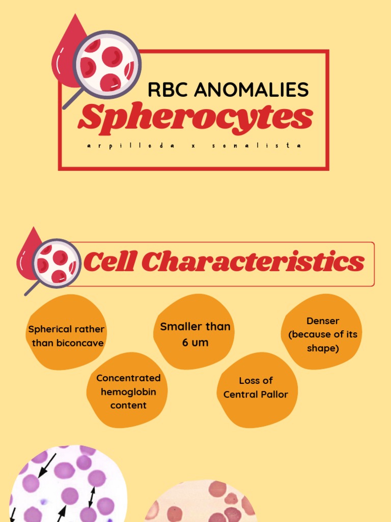Understanding Spherocytes and Anomalies | PDF