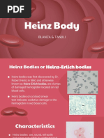 Leptocytes and Codocytes Explained | PDF