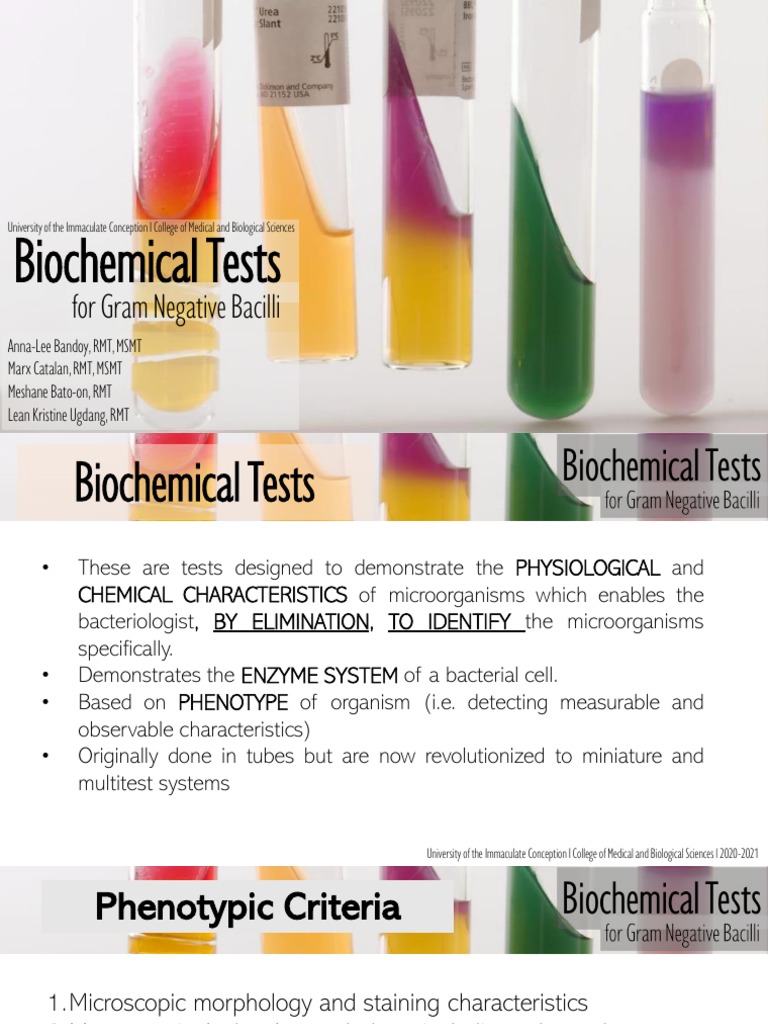 Biochemical Tests for Gram-Negative Bacteria | PDF