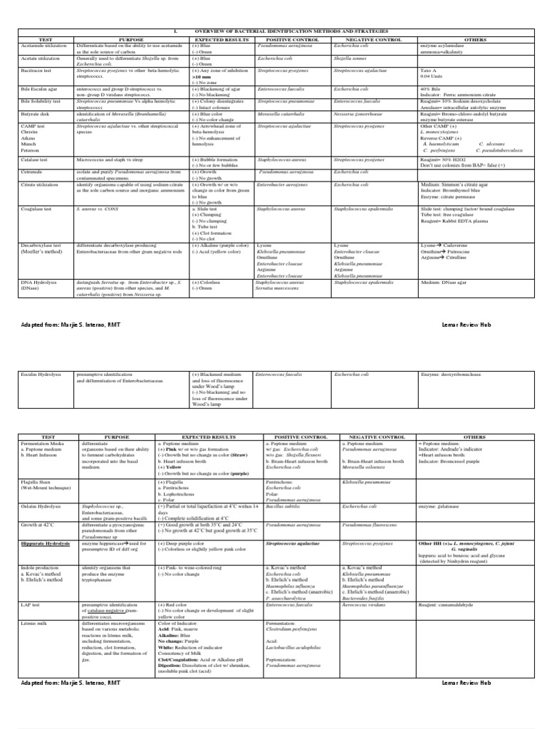 APP 1 Overview of Bacterial Identification Methods and Strategies PDF | PDF