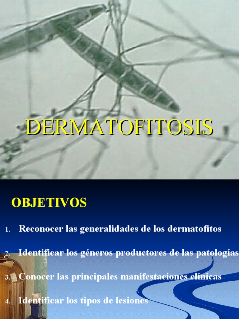 Dermatofitosis | PDF | Enfermedades animales | Especialidades Medicas