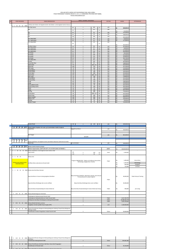 Usulan SSH Rsup Tahun 2021 | PDF