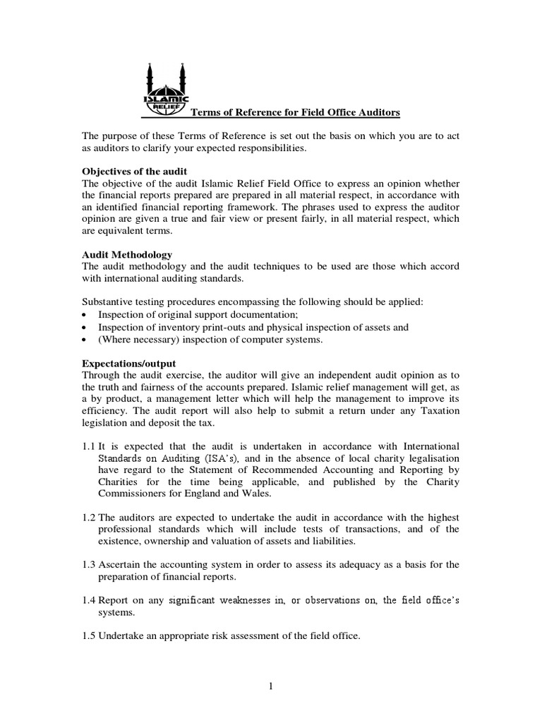 ToR Audit Tender | Download Free PDF | Audit | Financial Statement